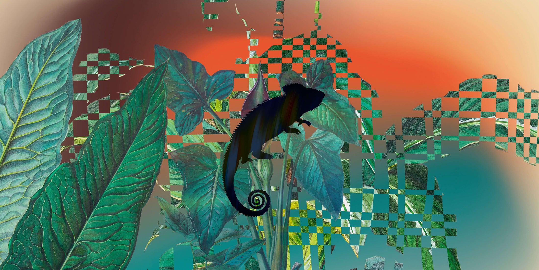 Being a Chameleon of Brand Design | Obscurio & Co.
