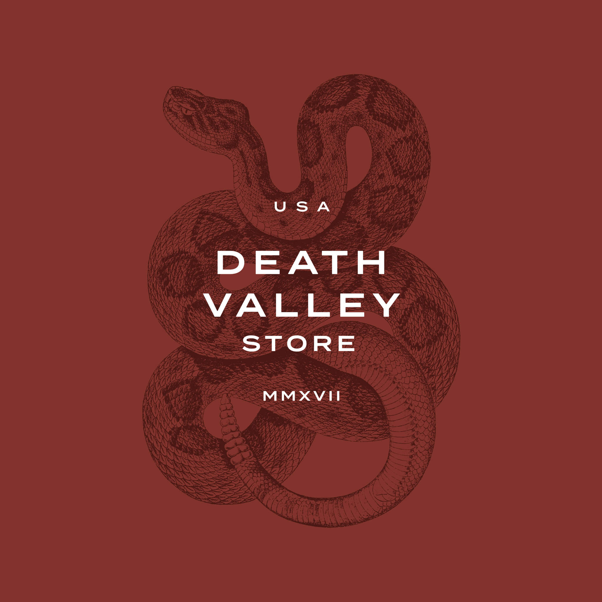 Death Valley Store | Jewellery logo design case study by Obscurio & Co.