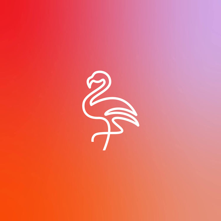 Wicker Darling | Retro inspired fashion rebranding case study by ...