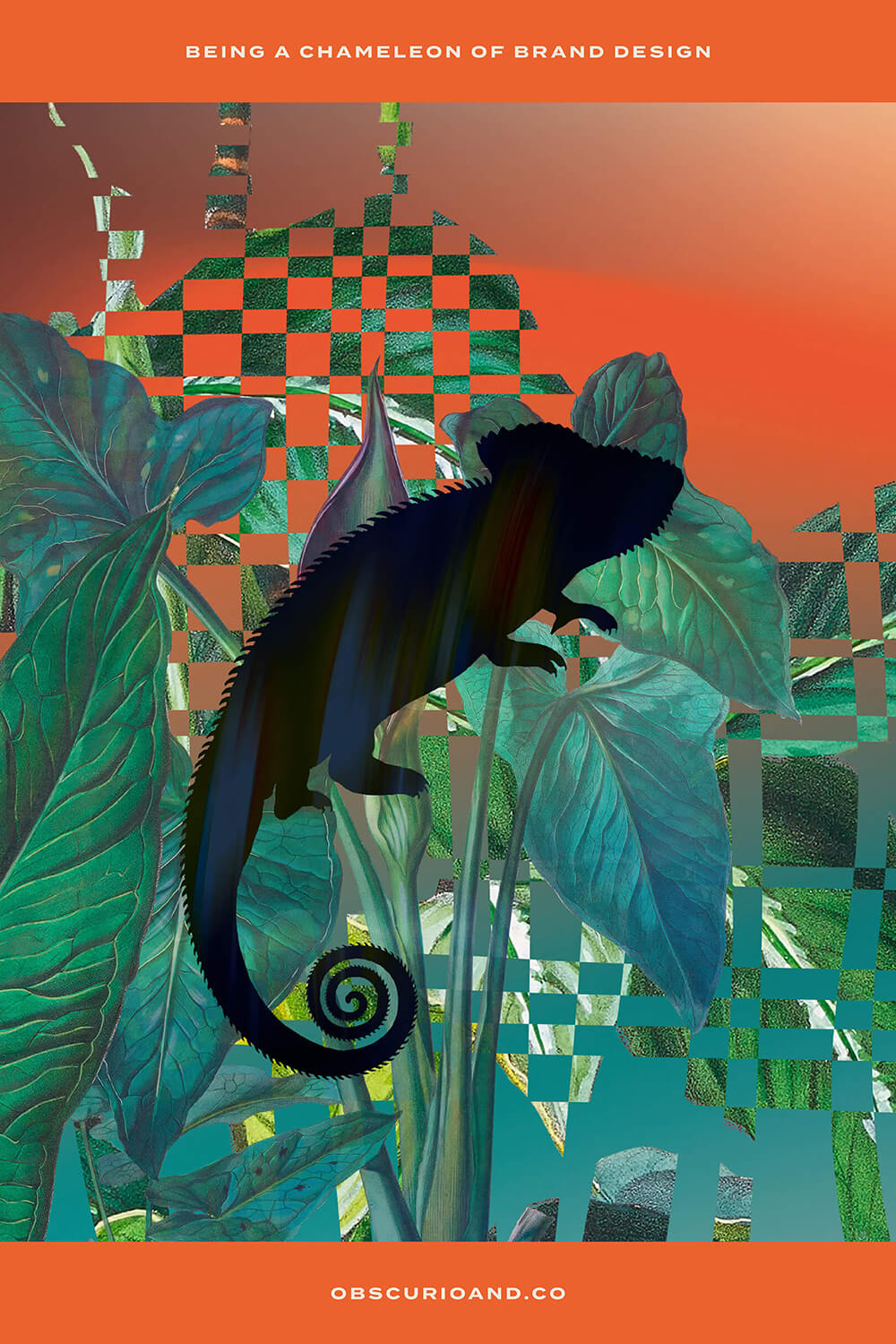 Being a Chameleon of Brand Design | Obscurio & Co.
